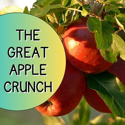 The Illinois Great Apple Crunch Event - October 10 - General Events ...